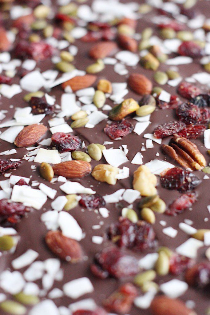 Dark Chocolate Trail Mix Bark
