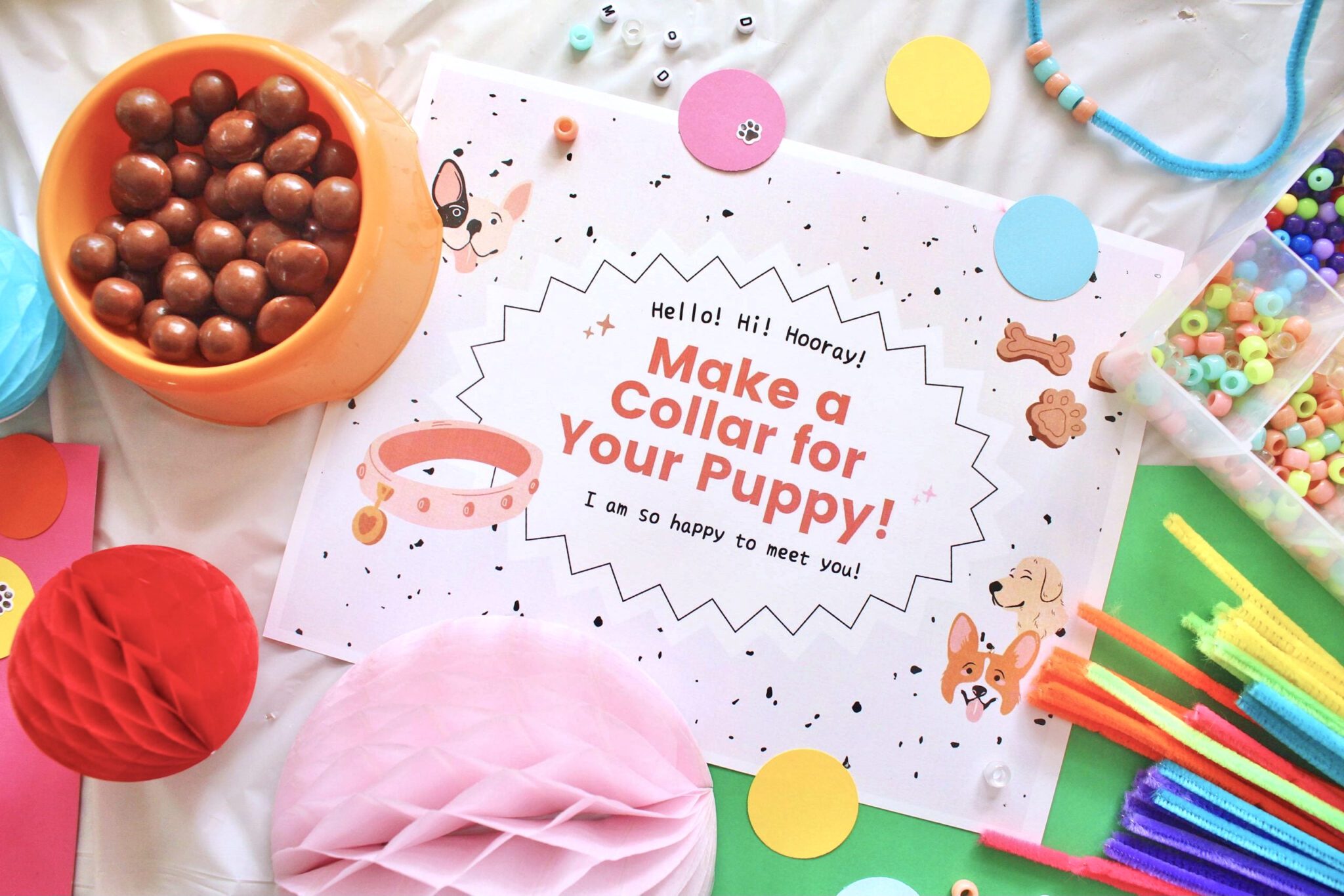 5 Fun and Creative Adopt-a-Puppy Birthday Party Ideas | The Pretty Life ...