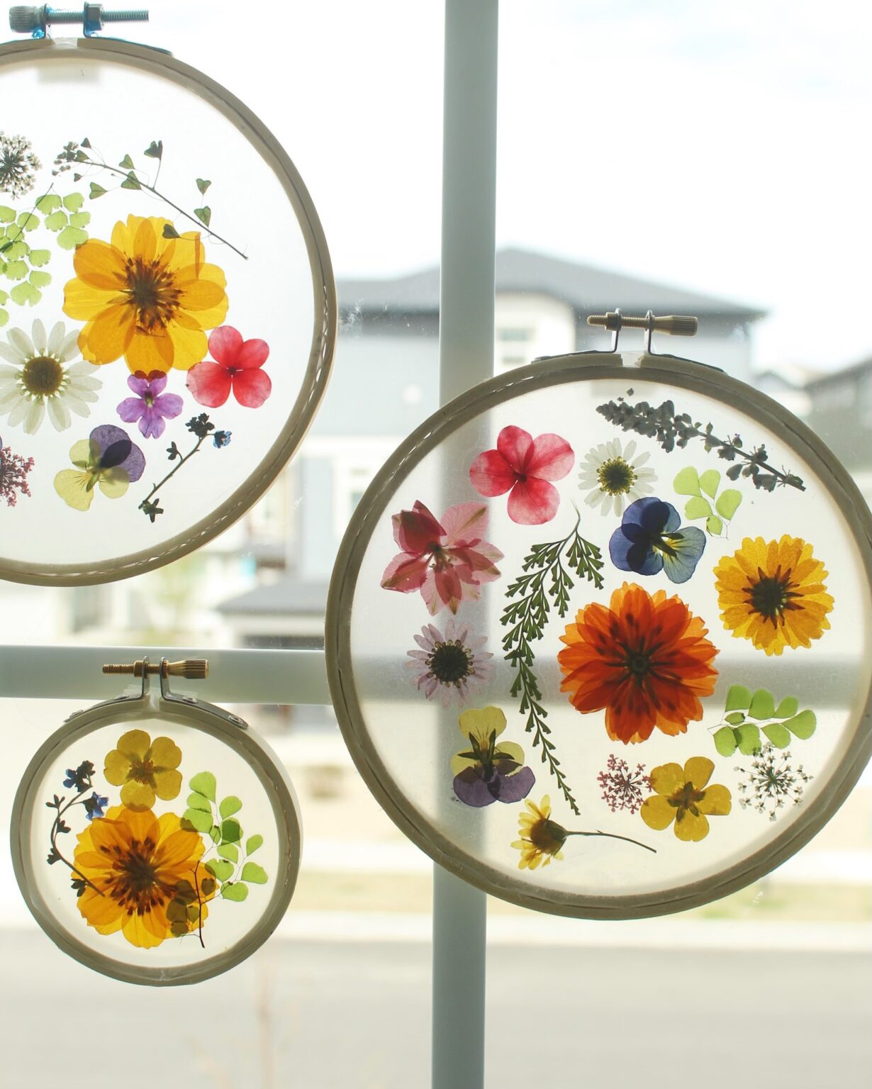 DIY Pressed Flower Suncatcher Tutorial | The Pretty Life Girls