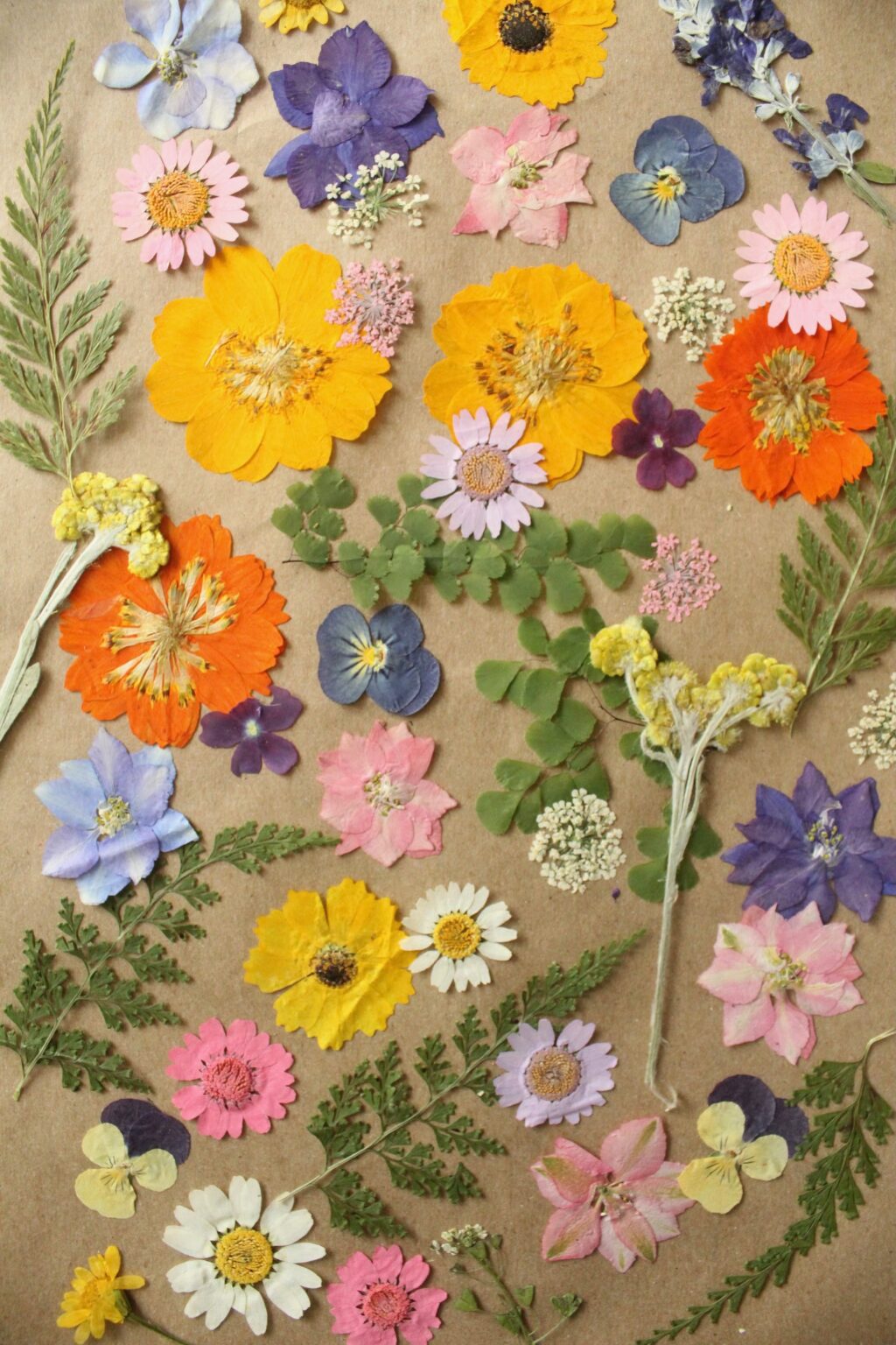 DIY Pressed Flower Suncatcher Tutorial | The Pretty Life Girls